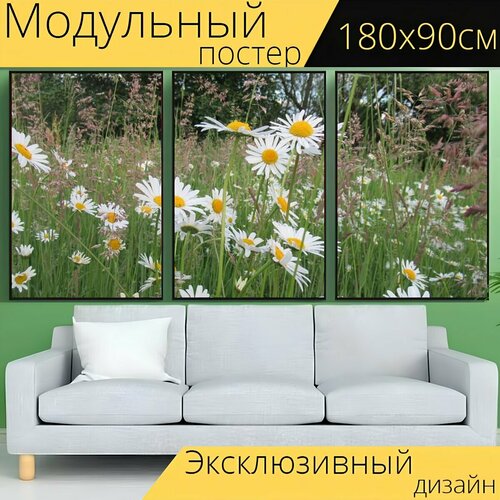 Модульный постер "Ромашка, весна, луговые цветы" 180 x 90 см. для интерьера