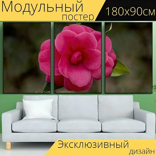 Модульный постер "Камелия, цветок, розовый" 180 x 90 см. для интерьера