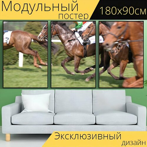 Модульный постер "Скачки, лошади, конный спорт" 180 x 90 см. для интерьера