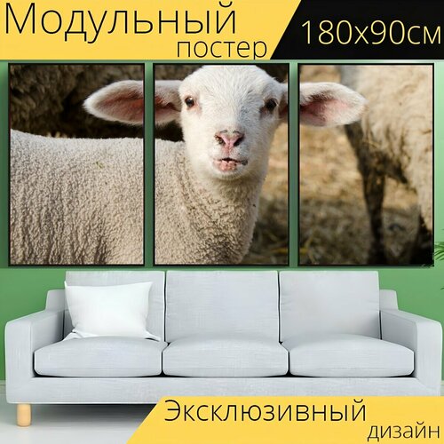 Модульный постер "Ягненок, пасха, овец" 180 x 90 см. для интерьера