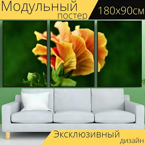 Модульный постер "Гибискус, цветок, оранжевый цветок" 180 x 90 см. для интерьера