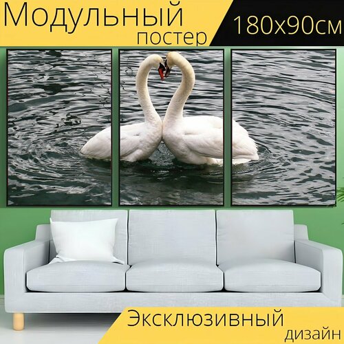 Модульный постер "Лебеди, лебединая пара, сердце" 180 x 90 см. для интерьера