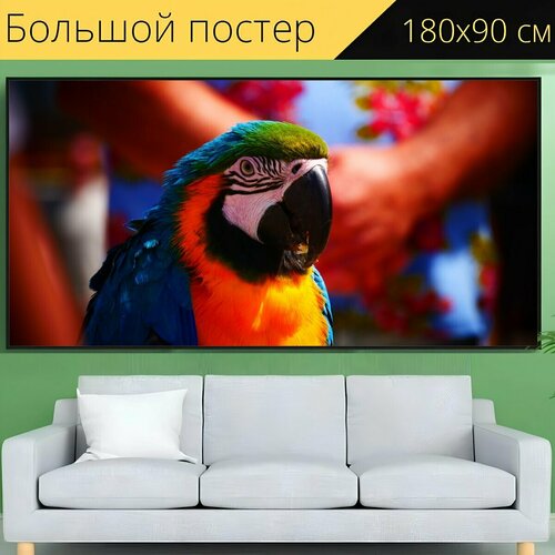 Большой постер "Попугай, тропический, птица" 180 x 90 см. для интерьера