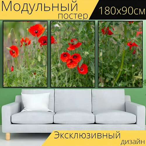 Модульный постер "Маки, цветы, полевые цветы" 180 x 90 см. для интерьера