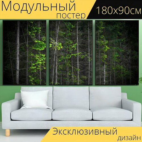 Модульный постер "Лес, дерево, природа" 180 x 90 см. для интерьера