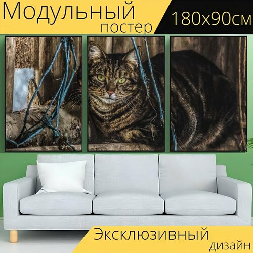 Модульный постер "Кошка, сарай, ферма" 180 x 90 см. для интерьера