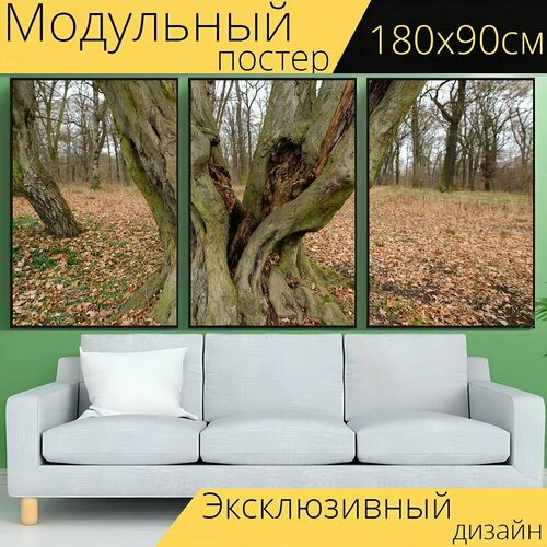 Модульный постер "Дерево, древесина, природа" 180 x 90 см. для интерьера