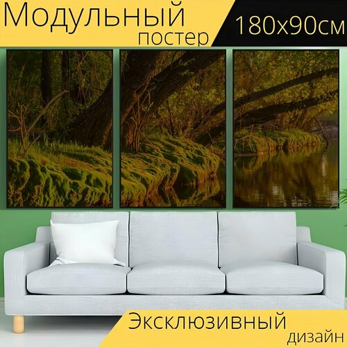 Модульный постер "Лес дерево, мох, берег" 180 x 90 см. для интерьера