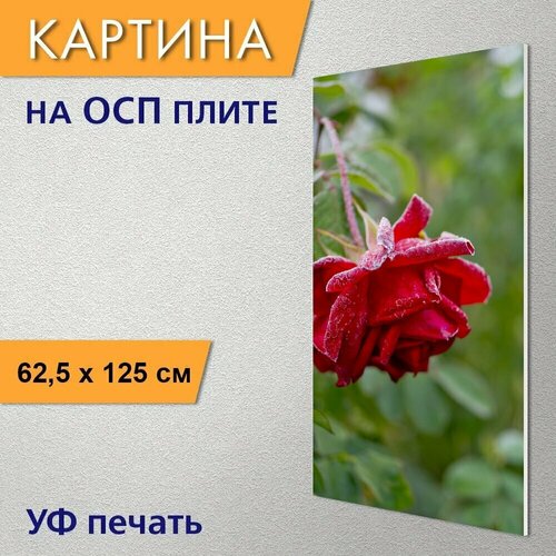 Вертикальная картина на ОСП "Иней, цветок, роза" 62x125 см. для интерьериа