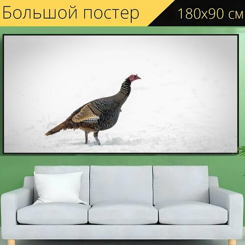 Большой постер "Турция, дикая природа, птицы" 180 x 90 см. для интерьера