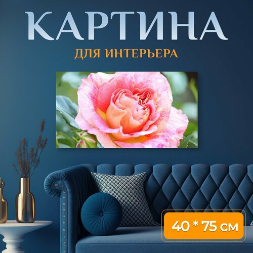 Картина на холсте "Роза, цвести, романтичный" на подрамнике 75х40 см. для интерьера