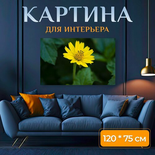 Картина на холсте "Веделия, цветок, завод" на подрамнике 120х75 см. для интерьера