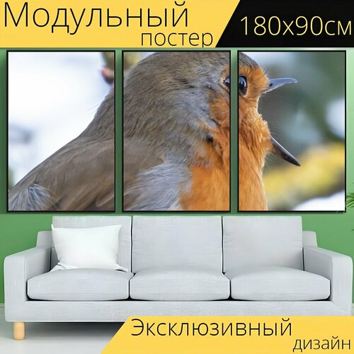 Модульный постер "Робин, птица, собирательство" 180 x 90 см. для интерьера