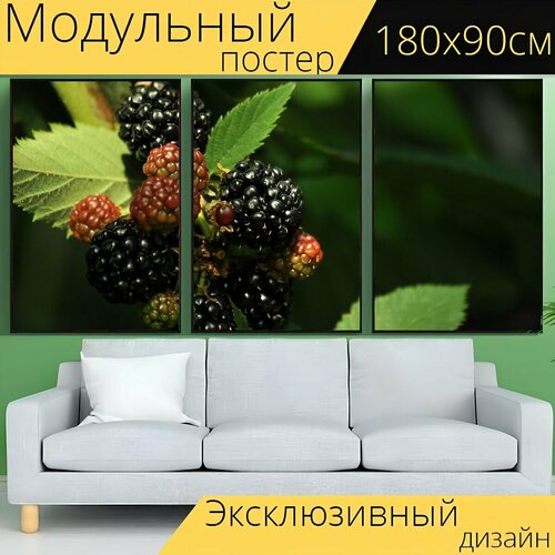 Модульный постер "Ежевика, черная ягода, спелая" 180 x 90 см. для интерьера