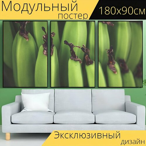 Модульный постер "Зеленый, бананы, фрукты" 180 x 90 см. для интерьера
