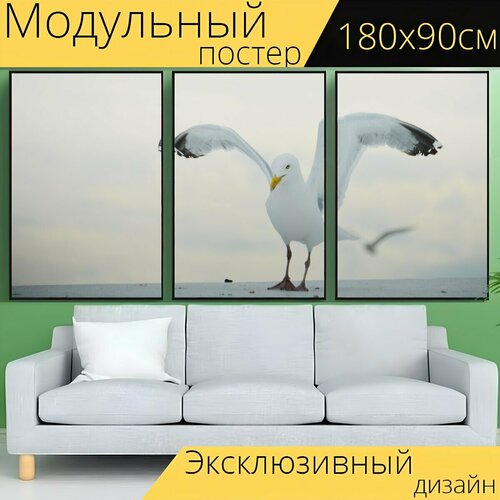 Модульный постер "Птица, чайка, крылья" 180 x 90 см. для интерьера