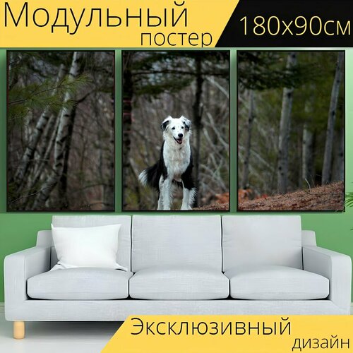 Модульный постер "Собака, домашний питомец, черное и белое" 180 x 90 см. для интерьера