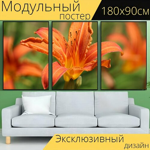 Модульный постер "Оранжевый, природа, цветы" 180 x 90 см. для интерьера