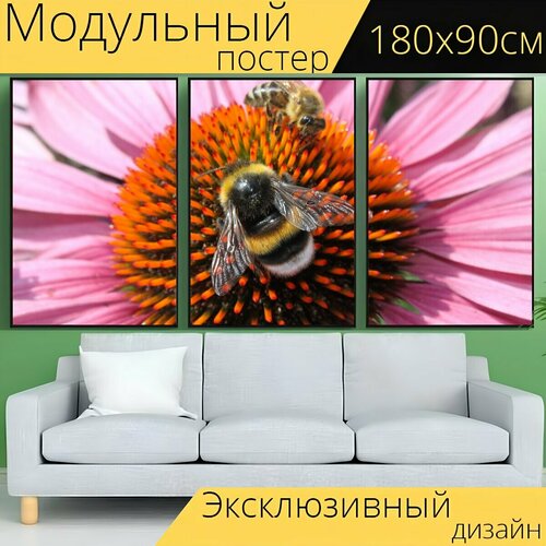 Модульный постер "Эхинацея, цветок, пчела" 180 x 90 см. для интерьера