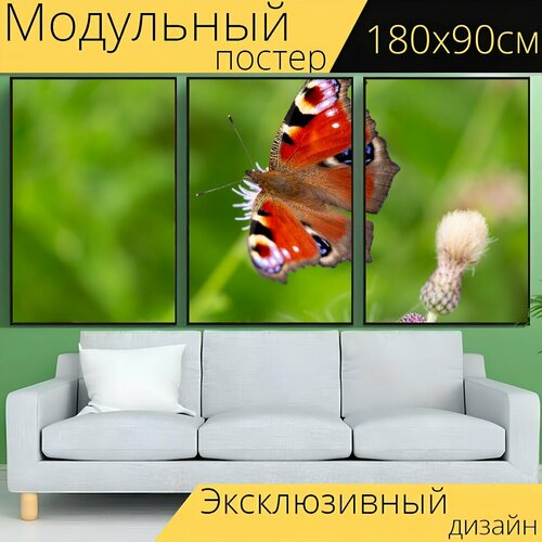 Модульный постер "Бабочка, бабочка павлиний, насекомое" 180 x 90 см. для интерьера