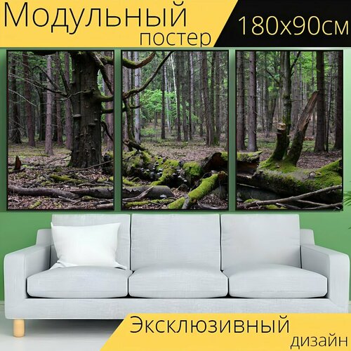 Модульный постер "Лес, природа, пейзаж" 180 x 90 см. для интерьера