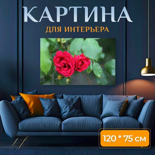 Картина на холсте "Розы, вьющиеся, красный" на подрамнике 120х75 см. для интерьера