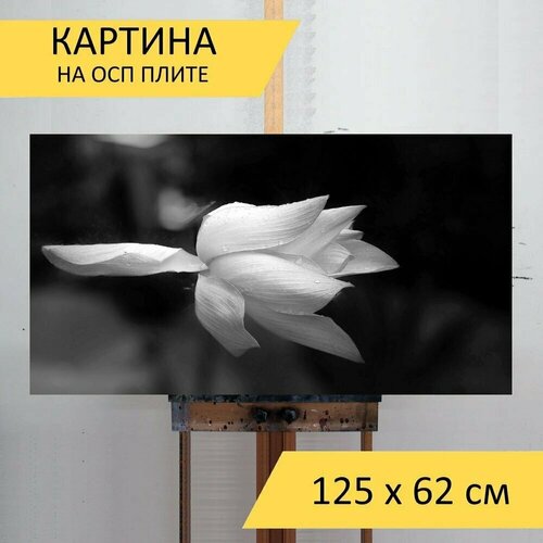 Картина на ОСП 125х62 см. "Лотос, цветок лотоса, цветок" горизонтальная, для интерьера, с креплениями