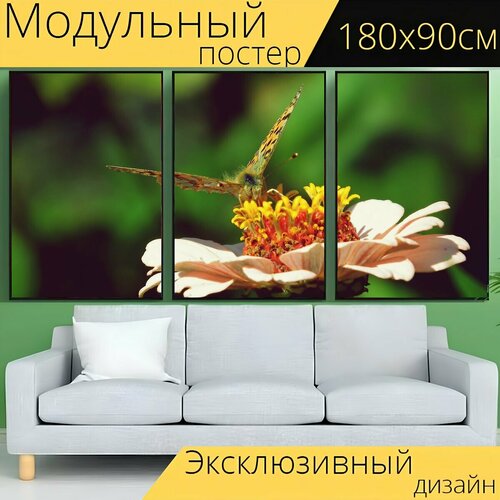 Модульный постер "Опыление, бабочка, цветок" 180 x 90 см. для интерьера