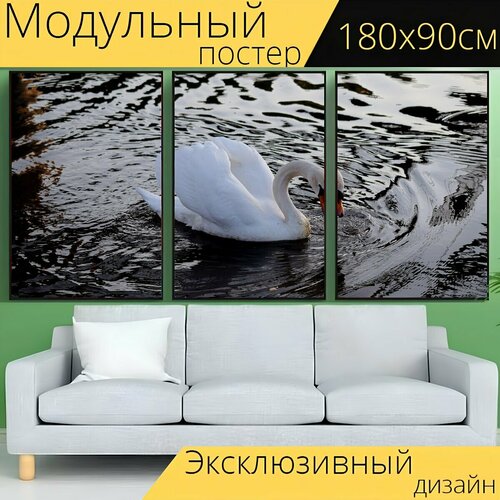 Модульный постер "Лебедь, утки, утиная птица" 180 x 90 см. для интерьера
