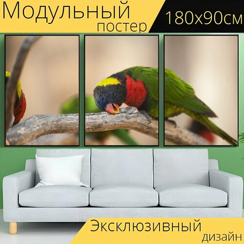 Модульный постер "Птица, попугай, животное" 180 x 90 см. для интерьера