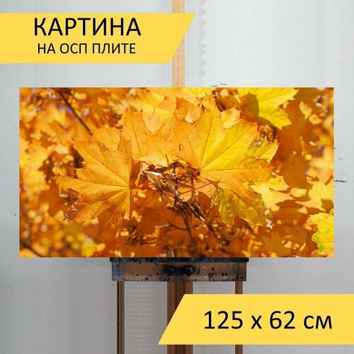 Картина на ОСП 125х62 см. "Осень, клен, желтый" горизонтальная, для интерьера, с креплениями