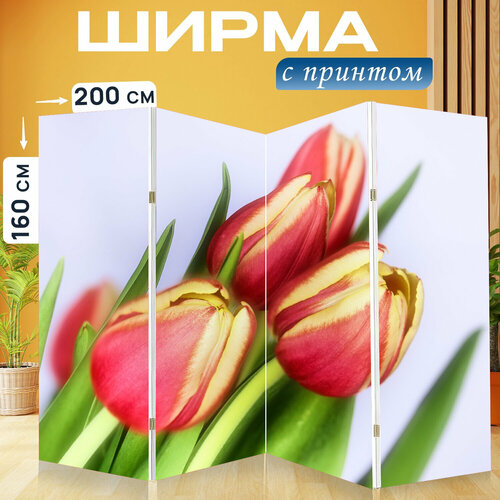 Ширма перегородка с принтом "Тюльпаны, цветы, букет тюльпанов" на холсте - 200x160 см. для зонирования, раскладная