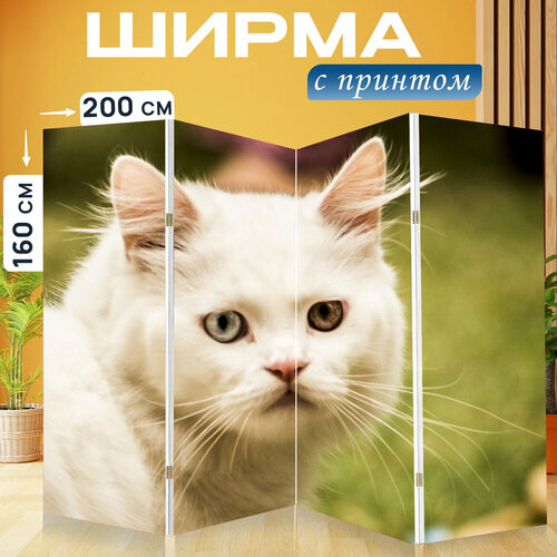 Ширма перегородка с принтом "Кошка, домашний питомец, животное" на холсте - 200x160 см. для зонирования, раскладная