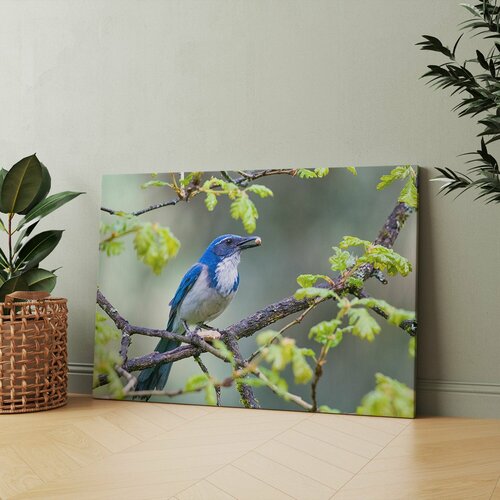Картина на холсте "Сине-белая птица сидит на ветке дерева" 20x30 см. Интерьерная, на стену.