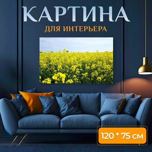 Картина на холсте "Рапс, желтый, небеса" на подрамнике 120х75 см. для интерьера