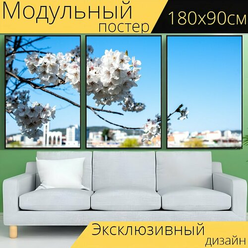 Модульный постер "Белые цветки, цветение вишни, сакура" 180 x 90 см. для интерьера