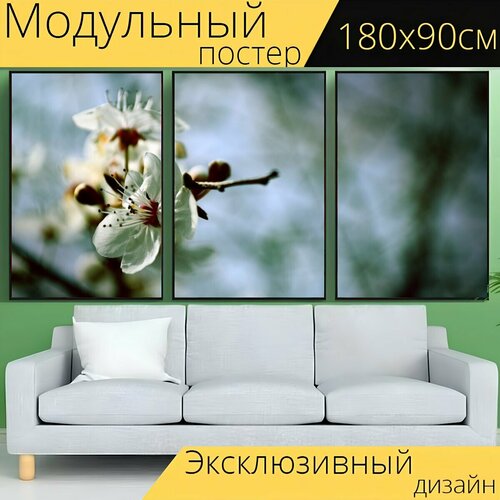 Модульный постер "Цветы, весна, весенние цветы" 180 x 90 см. для интерьера
