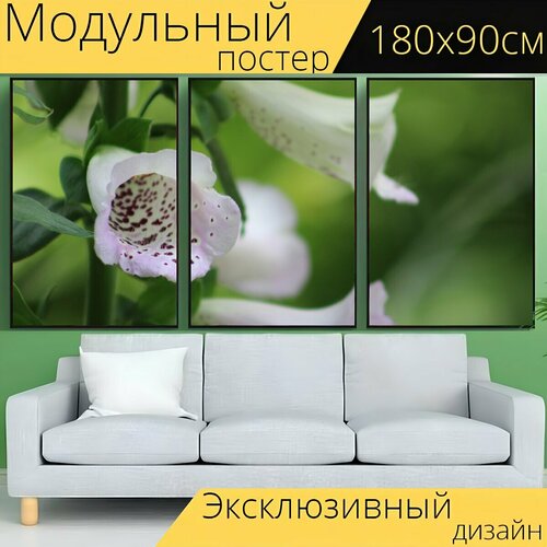 Модульный постер "Наперстянки, цветы, летом" 180 x 90 см. для интерьера