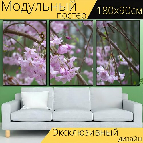 Модульный постер "Вишня, цвести, весна" 180 x 90 см. для интерьера
