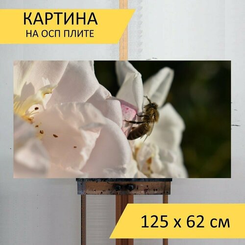 Картина на ОСП 125х62 см. "Пчела, цветок, цветы" горизонтальная, для интерьера, с креплениями