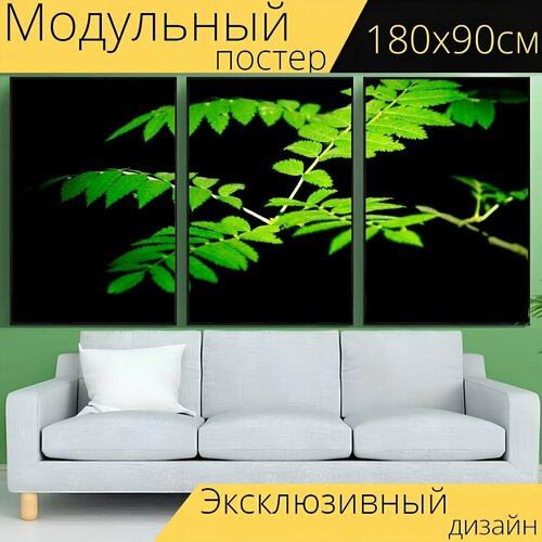 Модульный постер "Листья, красочный, зеленый" 180 x 90 см. для интерьера