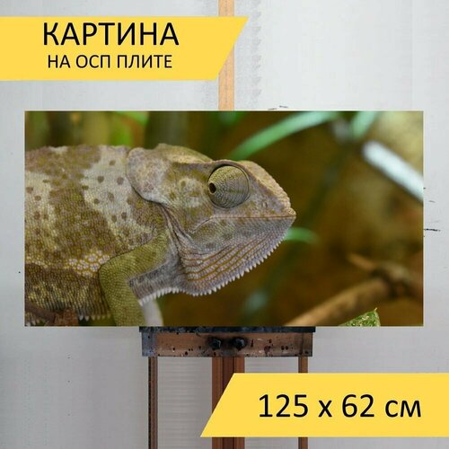 Картина на ОСП 125х62 см. "Хамелеон, зоопарк, террариум" горизонтальная, для интерьера, с креплениями