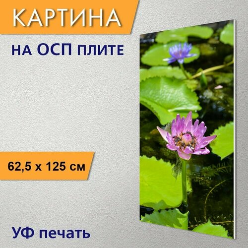 Вертикальная картина на ОСП "Лотос, лист лотоса, цветок" 62x125 см. для интерьериа