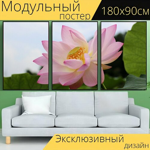 Модульный постер "Цветок лотоса, красота, природа" 180 x 90 см. для интерьера