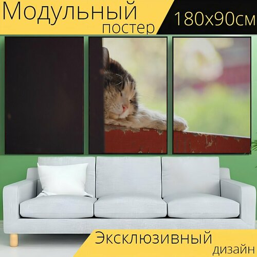 Модульный постер "Кошка, милый, животное" 180 x 90 см. для интерьера