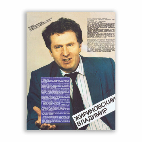 Постер, плакат на бумаге / Владимир Жириновский / Размер 30 x 40 см