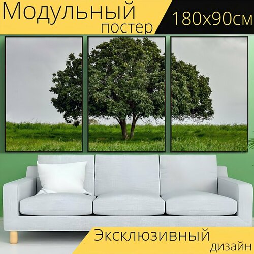 Модульный постер "Дерево, луг, пейзаж" 180 x 90 см. для интерьера