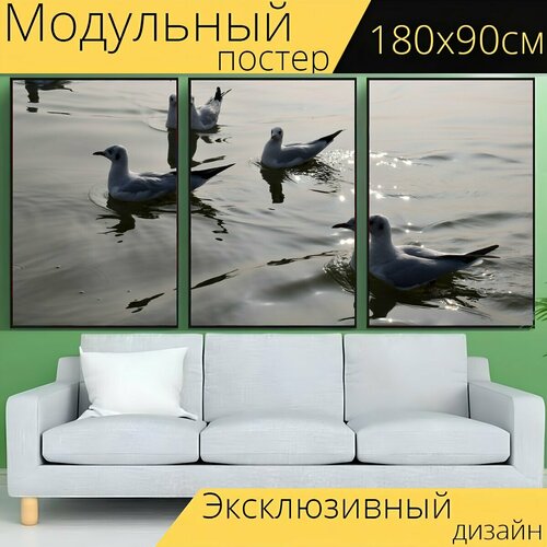 Модульный постер "Чайки, птица, море" 180 x 90 см. для интерьера