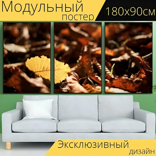 Модульный постер "Осень, лист, природа" 180 x 90 см. для интерьера
