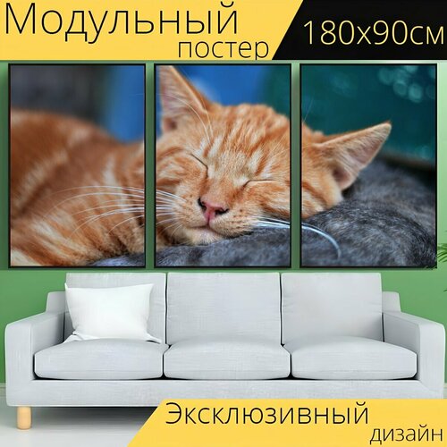 Модульный постер "Спокойствие, сон, котенок" 180 x 90 см. для интерьера